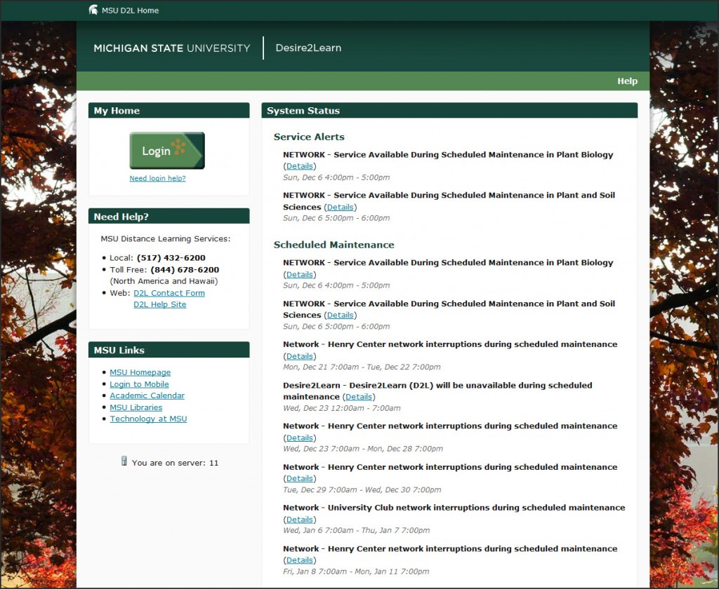 Technology at MSU - New MSU D2L features planned before spring 2016 ...